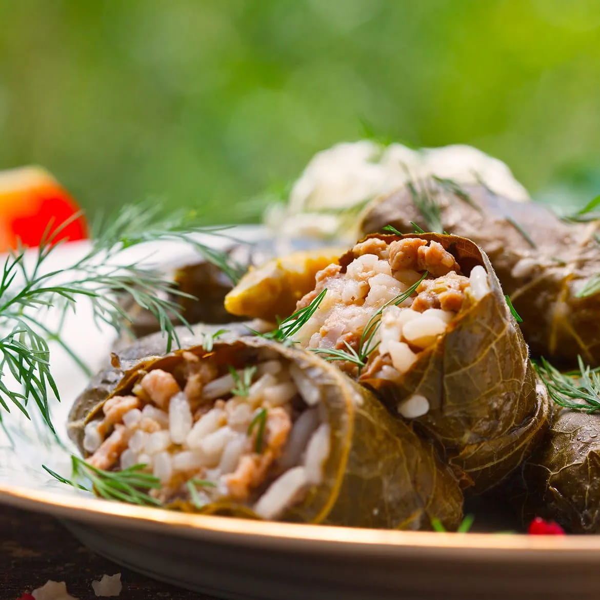 Greek Recipes: Meat and Rice Dolmades | The recipes of AIA
