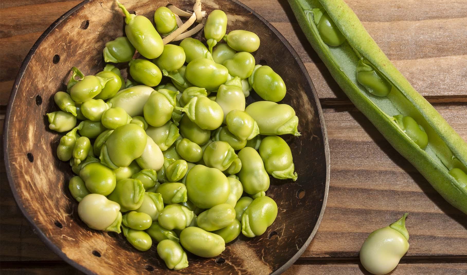 Fave: proprietà, usi e ricette | AIA Food